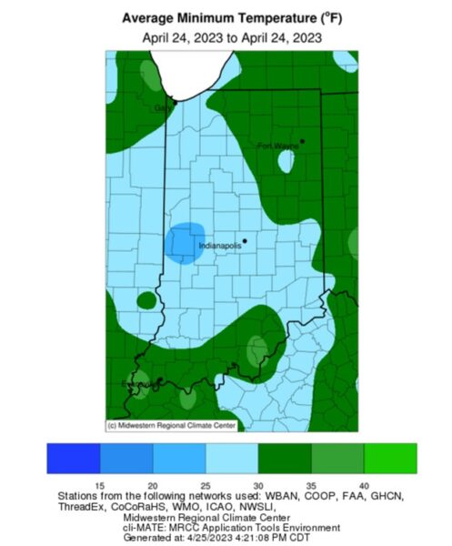 Grapevine Freeze Damage Update | Purdue University Facts for Fancy Fruit