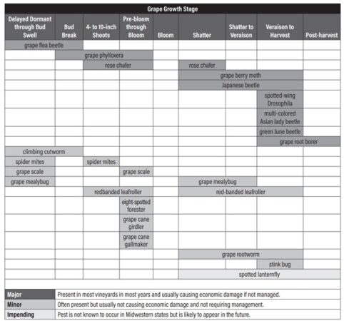 Early season pest & disease control in grapevines | Purdue University ...