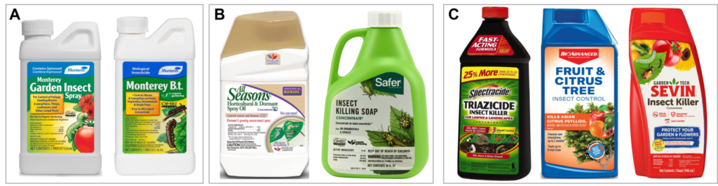 Choosing insecticides to manage insect pests in your home/backyard ...